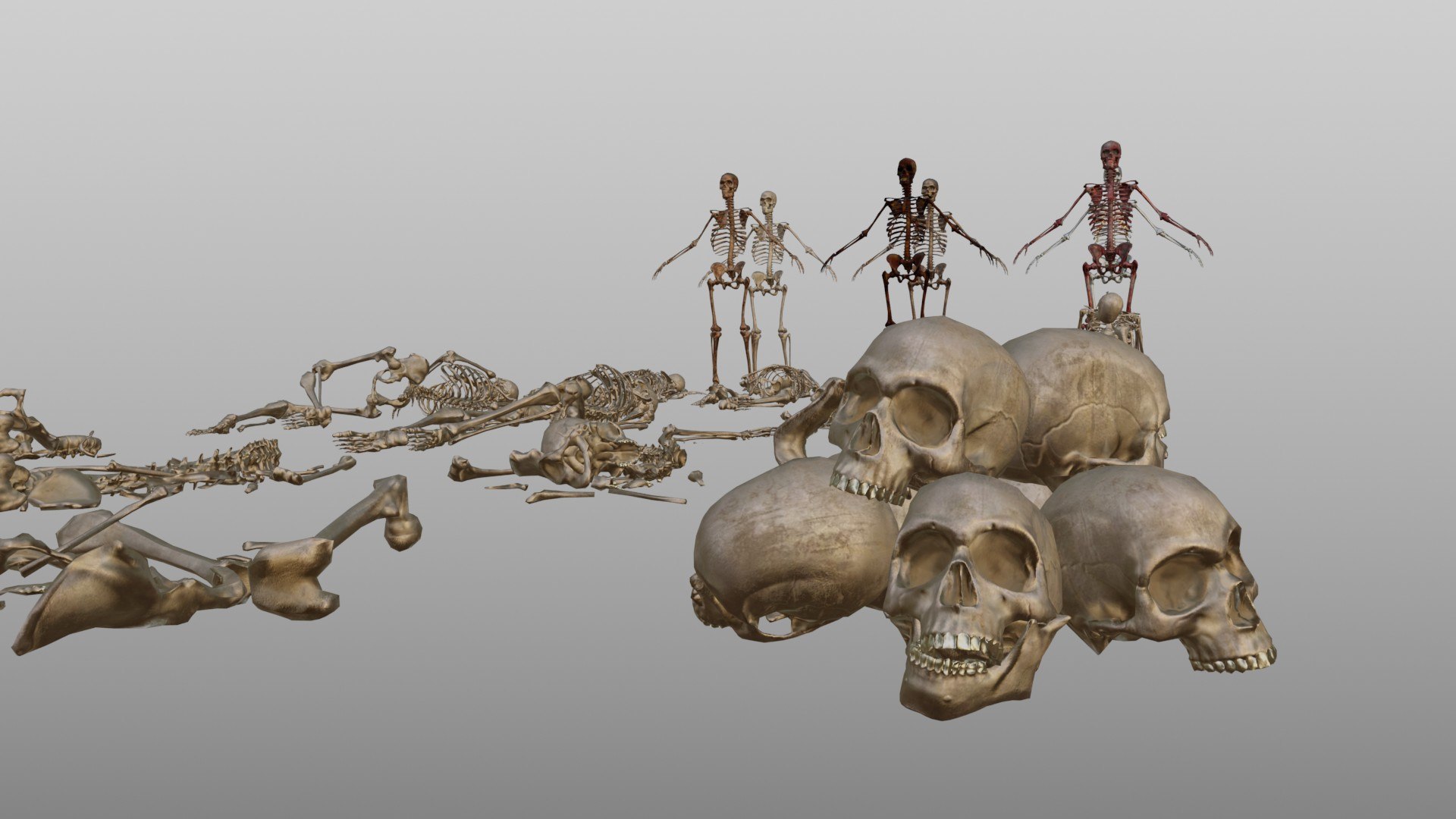 3D Human Bones And Skeleton Model - TurboSquid 2257713