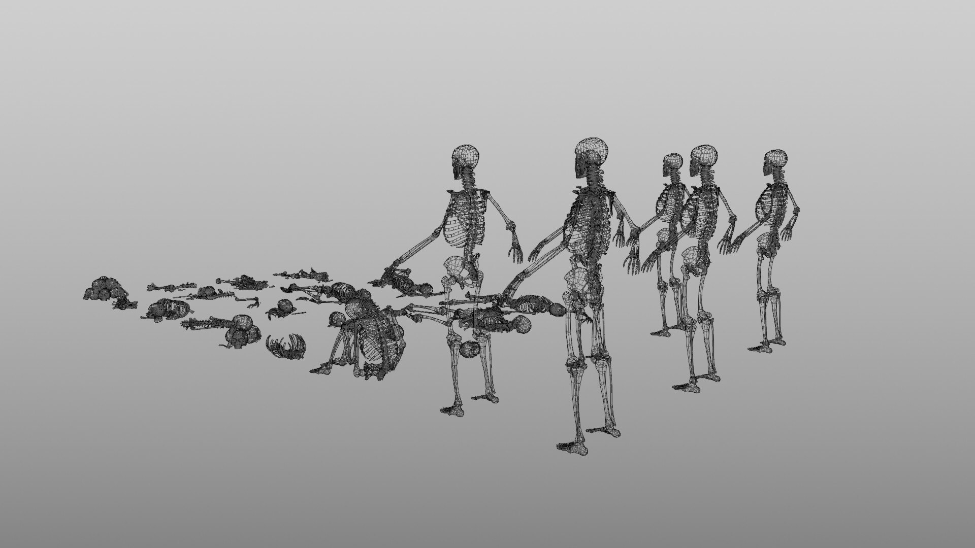 3D Human Bones And Skeleton Model - TurboSquid 2257713