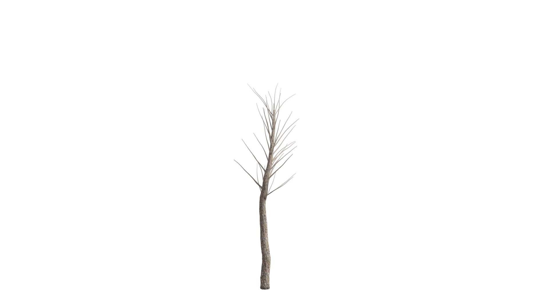 3D Growth Tree Animated Model - TurboSquid 2111916