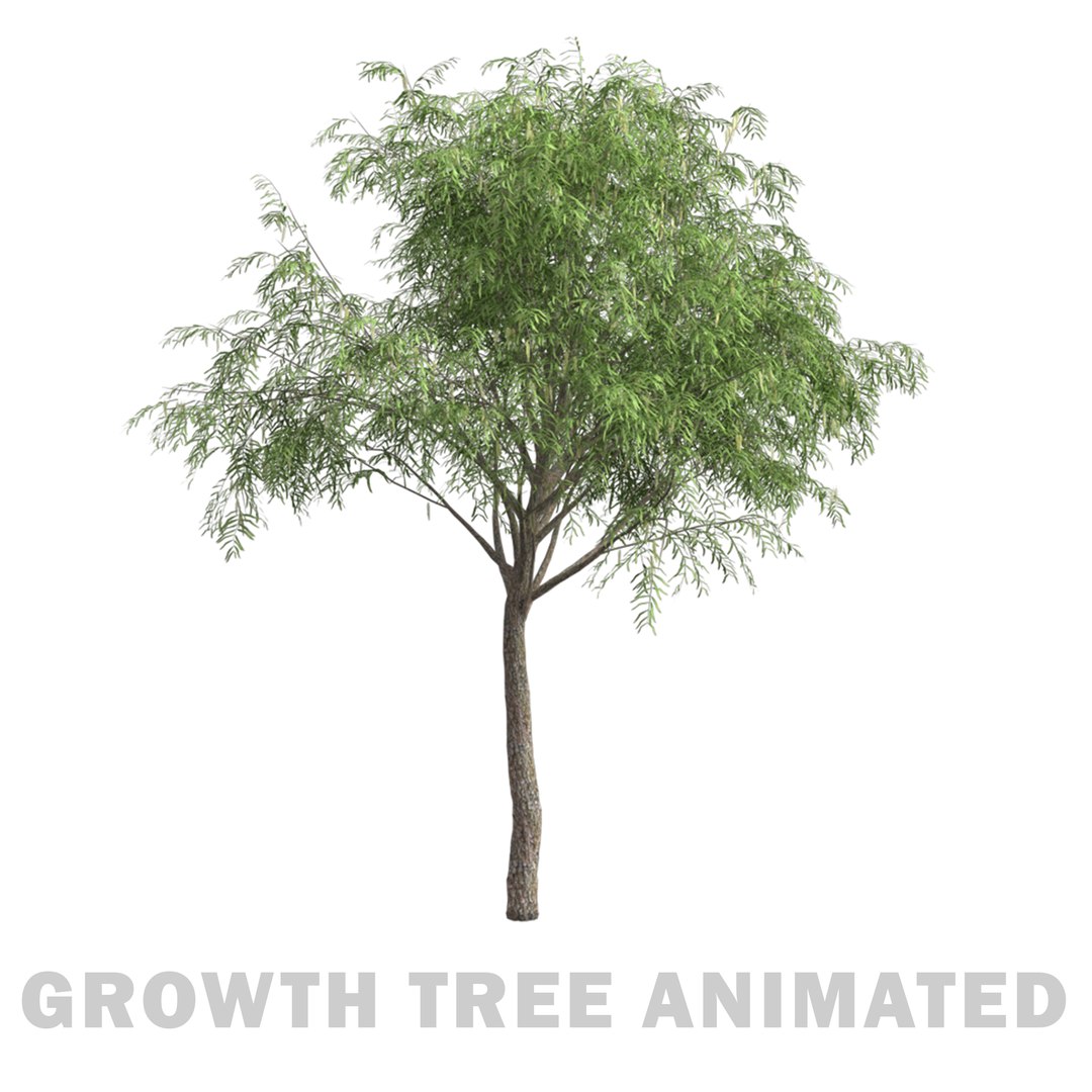 3D Growth Tree Animated Model - TurboSquid 2111916