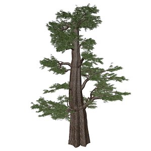 3D Juniper Tree Models - Browse & Download Formats - TurboSquid