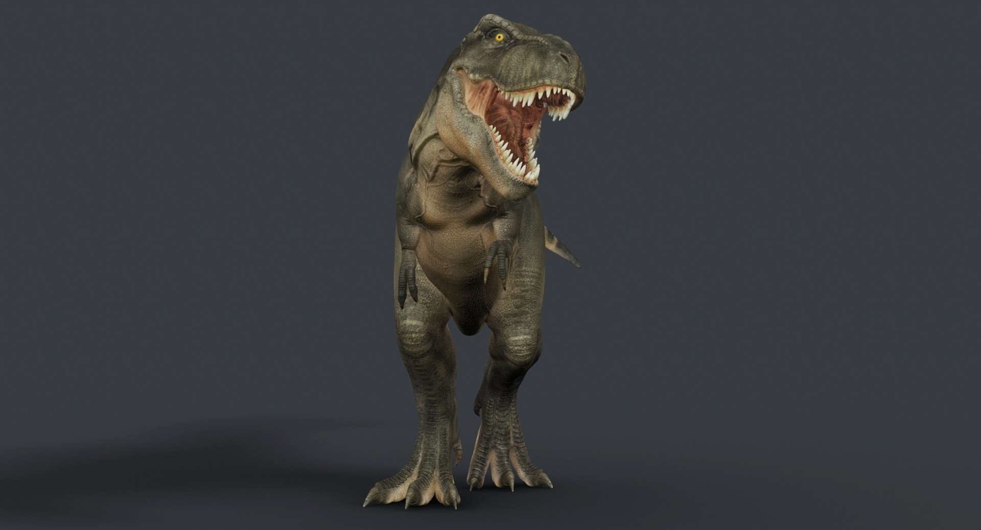 Low Poly Accurate (posed) 3D Model By Wobbly Works, 43% OFF