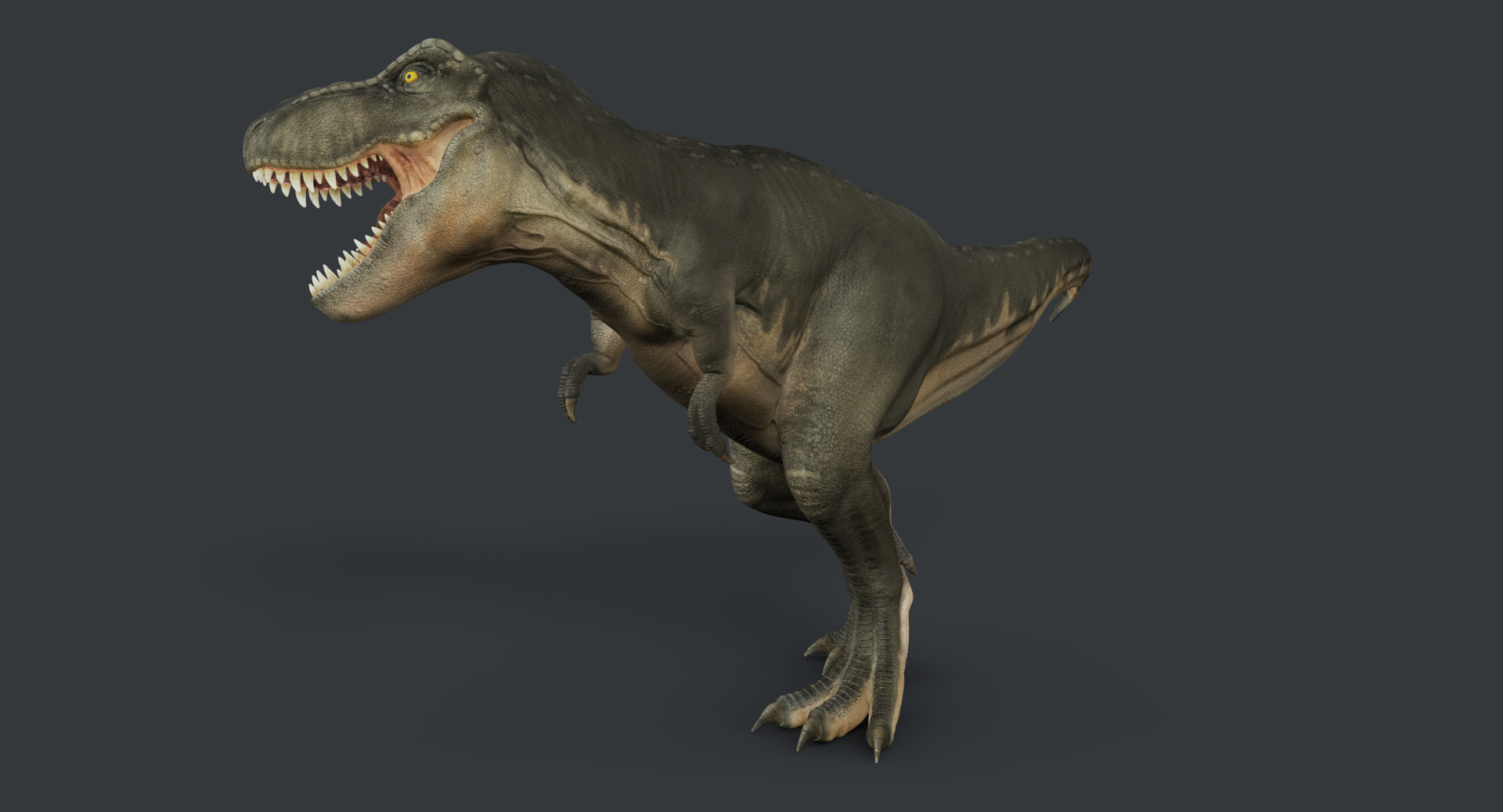 tyrannosaurus rex trex animation 3d ma