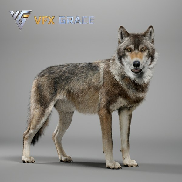 Wolf - UE 角色资源3D模型 - TurboSquid 2168936
