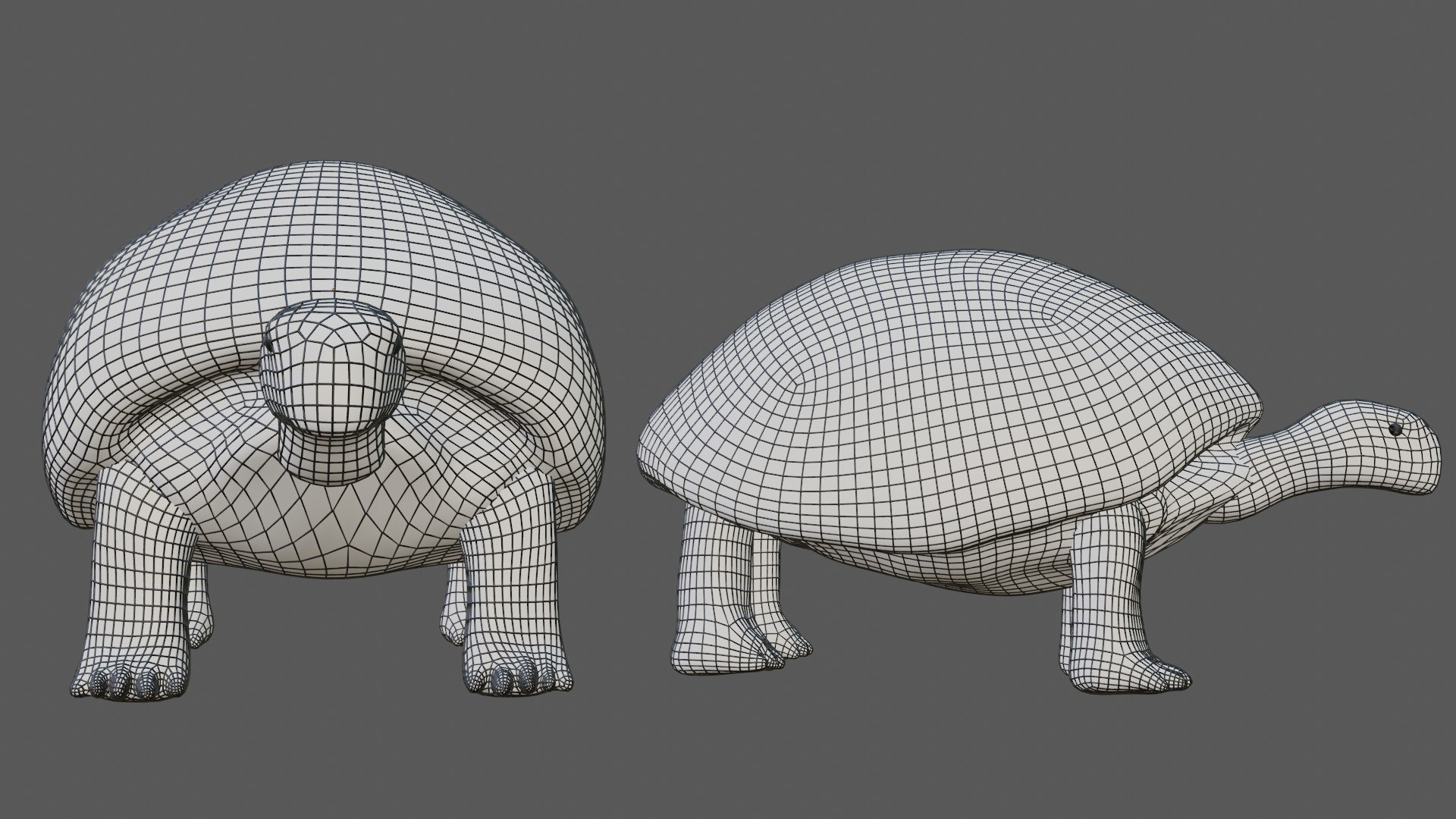Fully Rigged Low Poly Turtle Tortoise Collection 3D Model - TurboSquid ...
