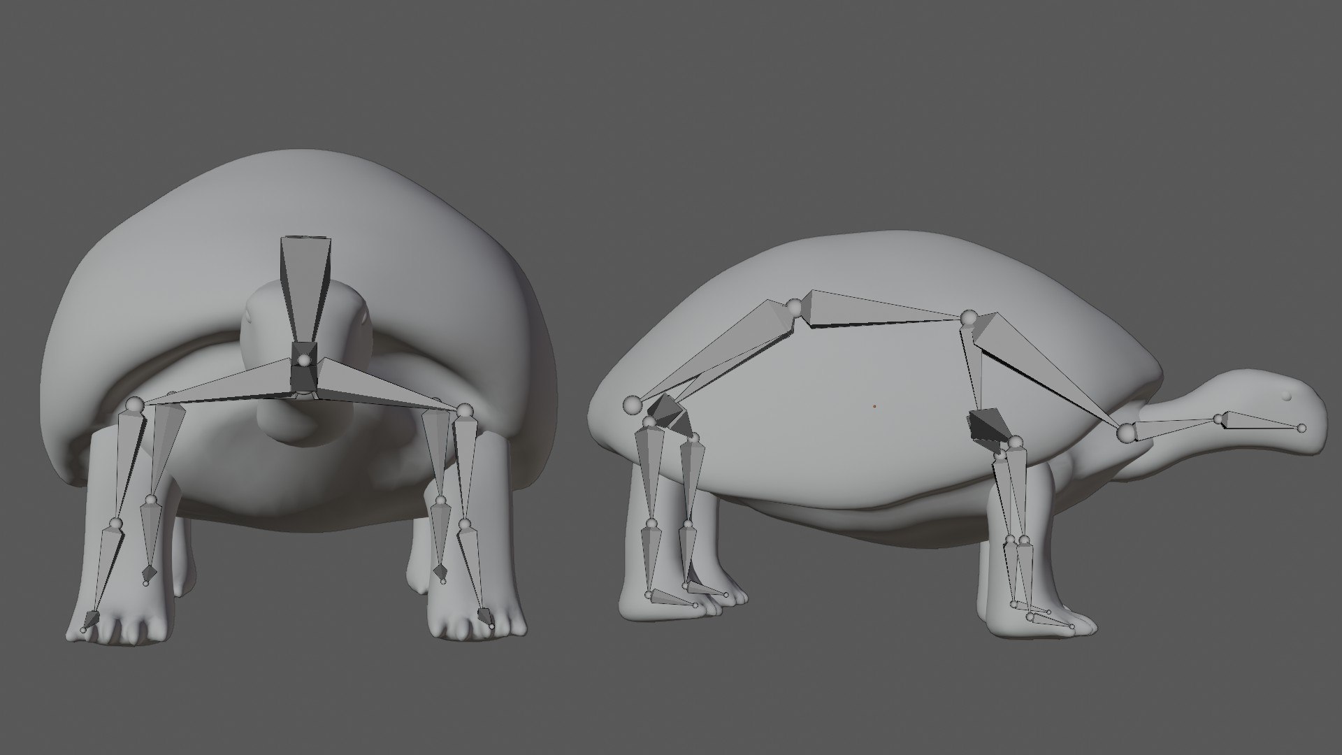 Fully Rigged Low Poly Turtle Tortoise Collection 3D Model - TurboSquid ...