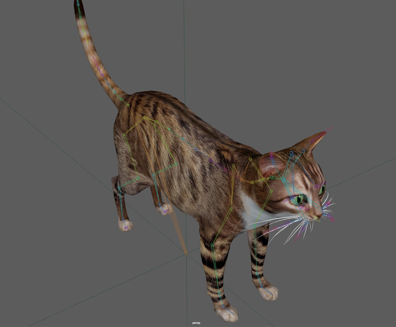 Cat Rigged Model - TurboSquid 1900983