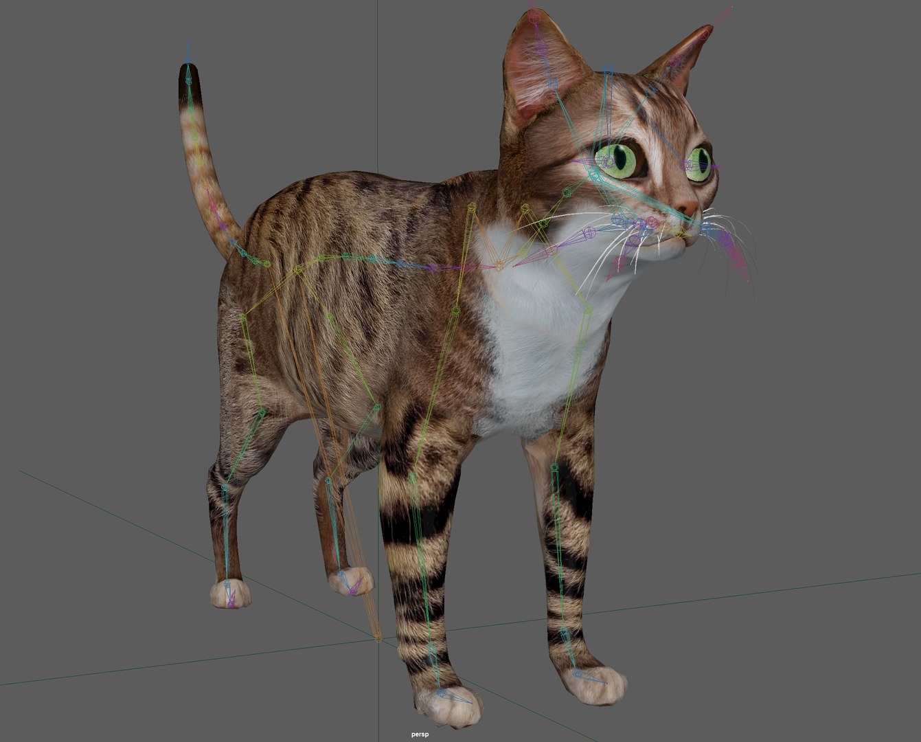 Cat Rigged Model - TurboSquid 1900983