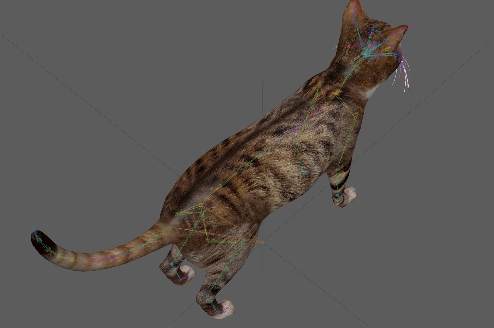 Cat Rigged Model - TurboSquid 1900983