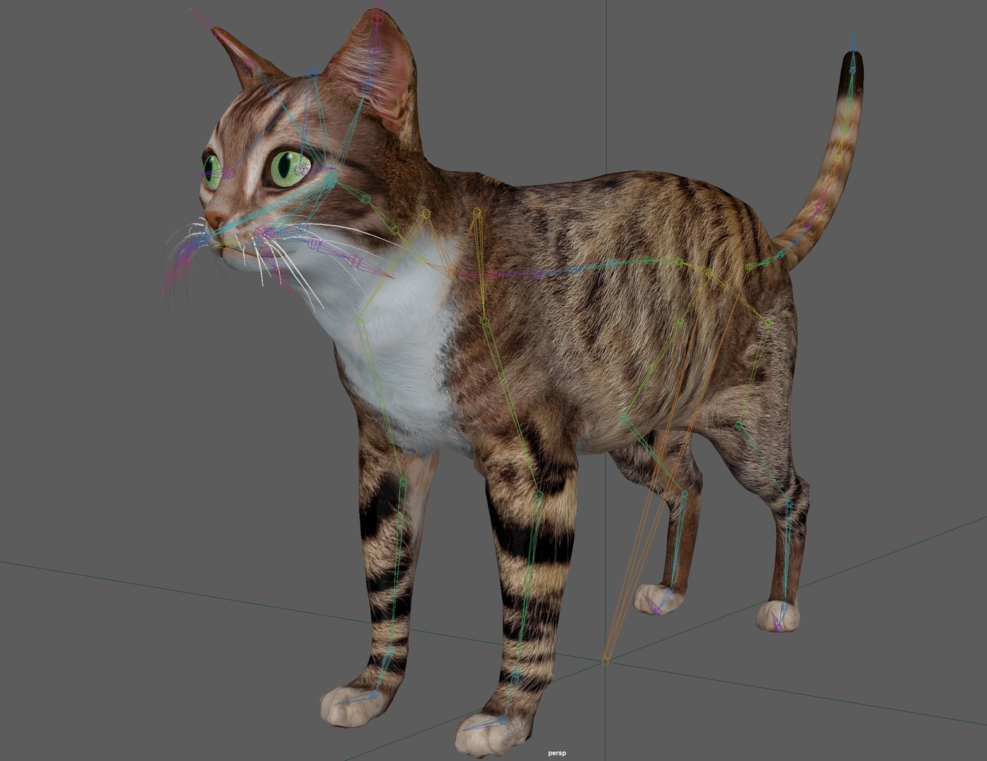 Cat Rigged Model - TurboSquid 1900983