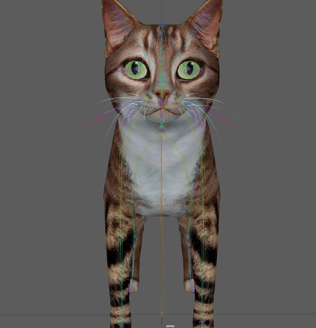 Cat rigged model - TurboSquid 1900983