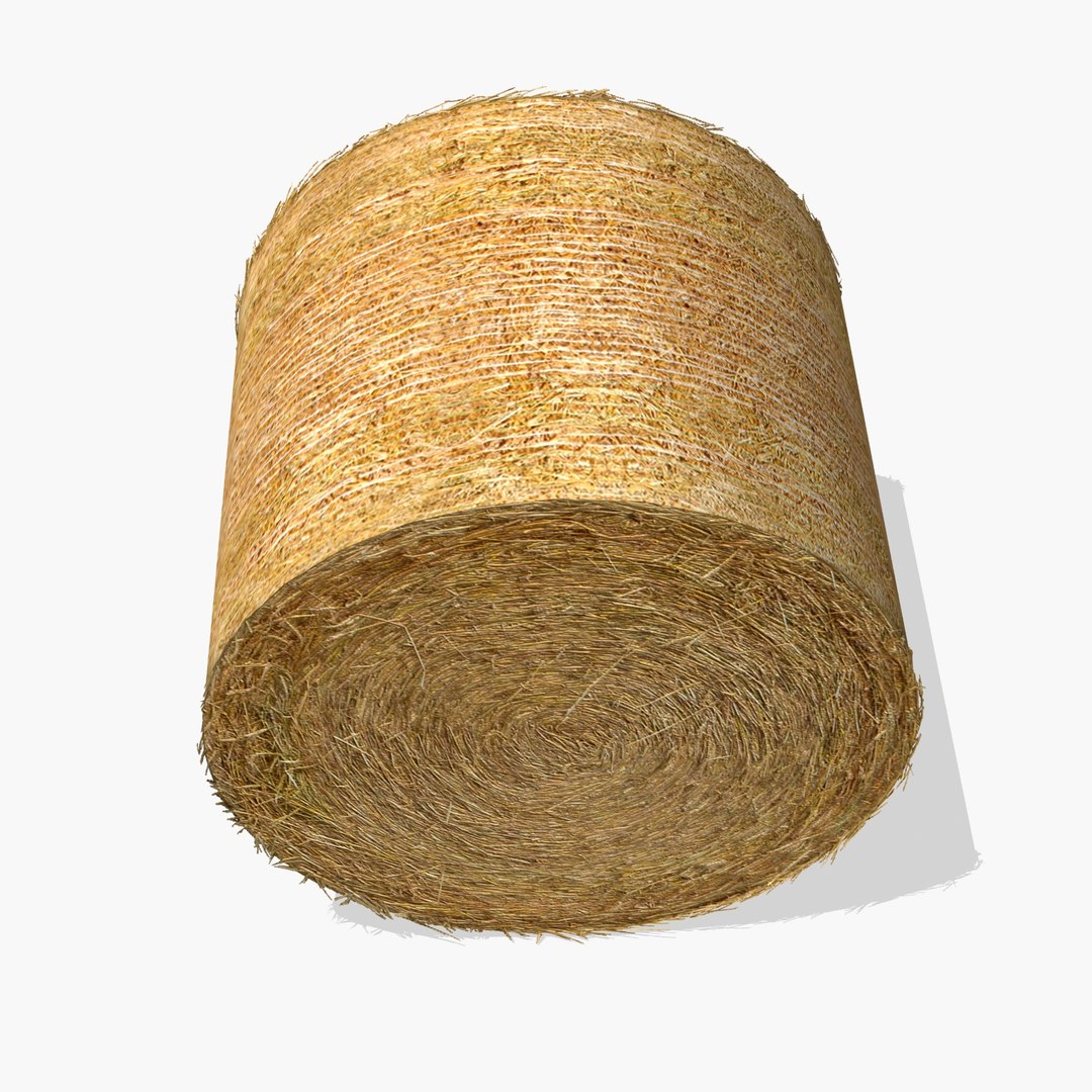 3d Hay Bale