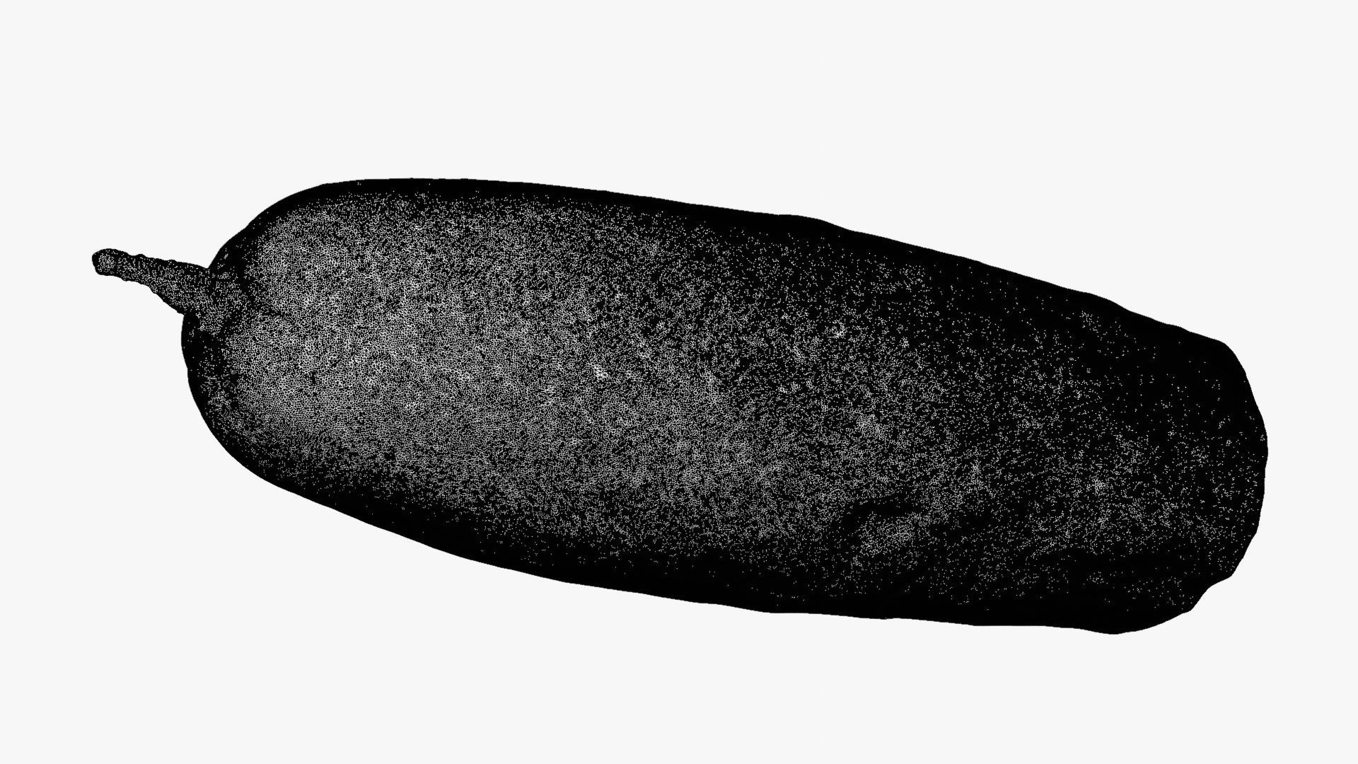 3D Model Japanese Cucumber Half 01 For 3D Print - TurboSquid 2433672