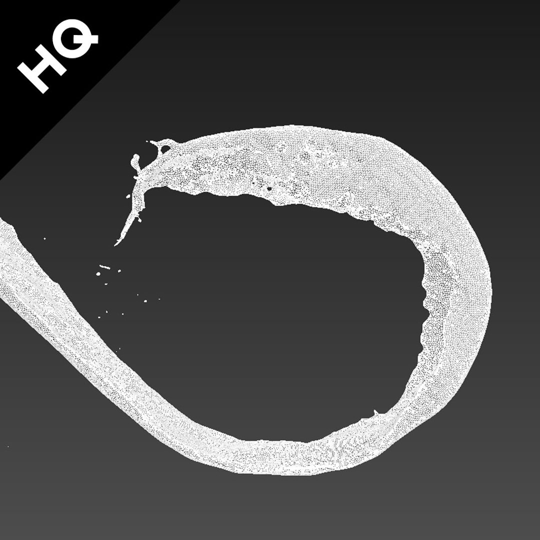 splash realflow flow 3d max