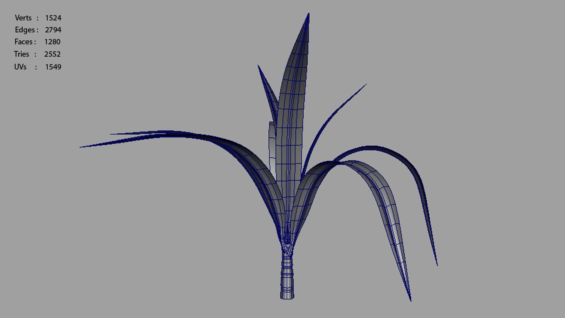 3d model yucca trees evergreen