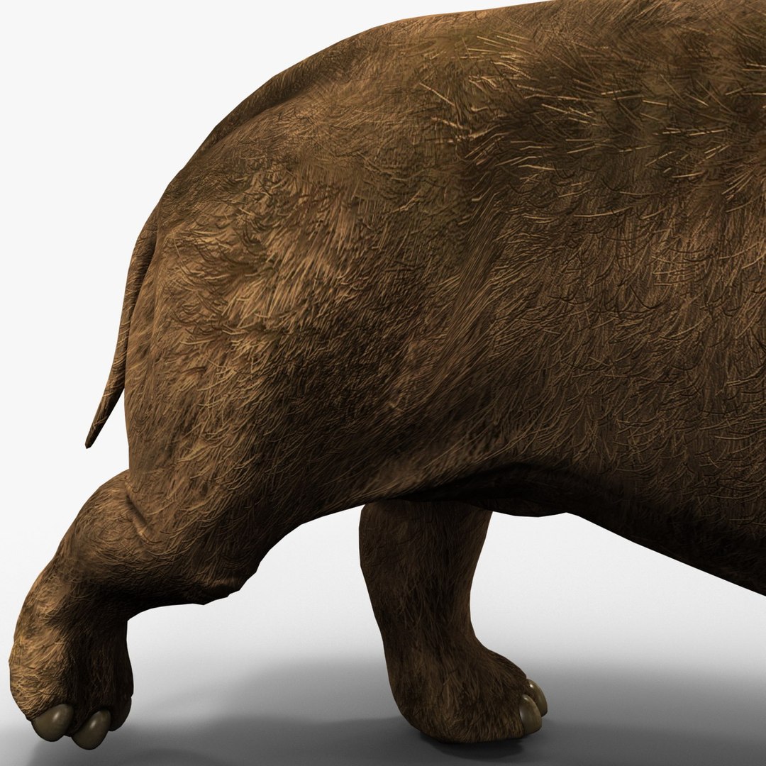 Elasmotherium 2 Pose 3d Model