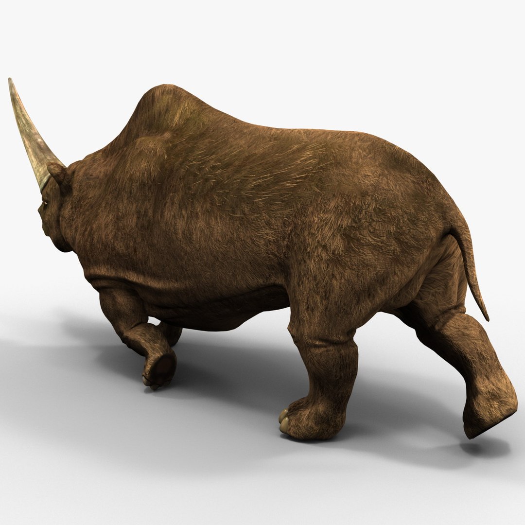 Elasmotherium 2 Pose 3d Model