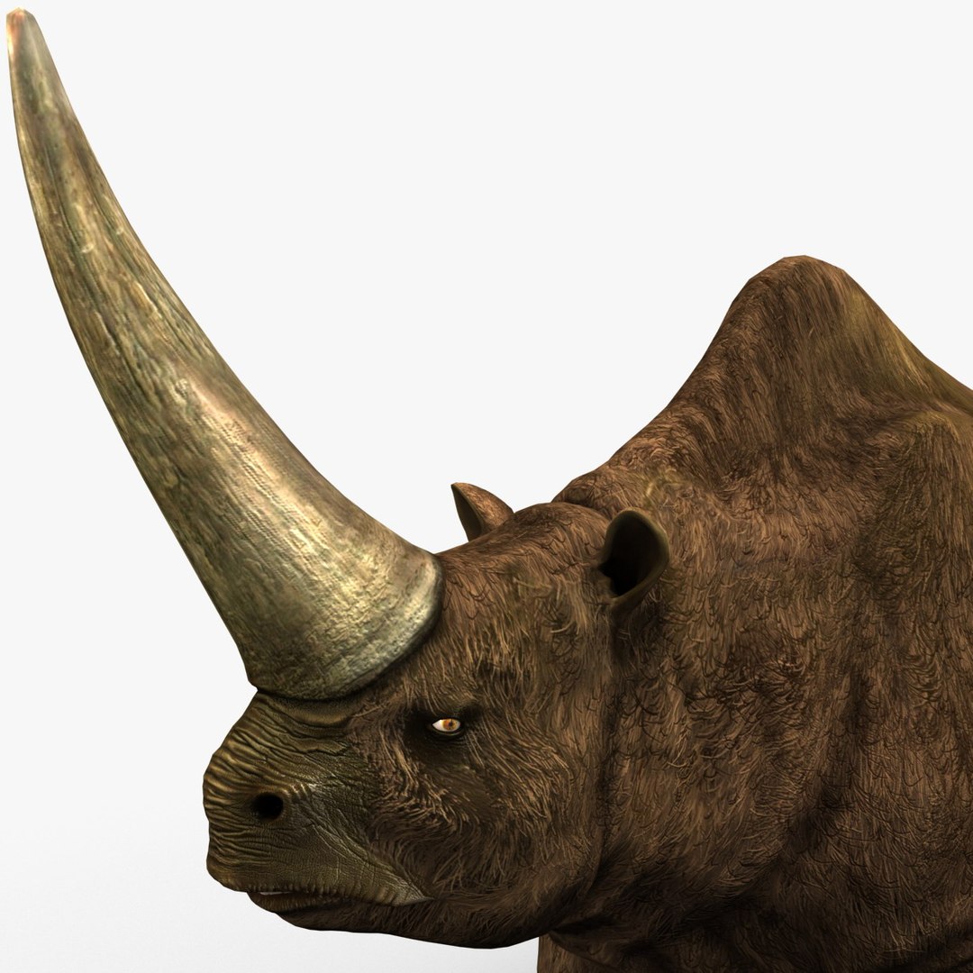 Elasmotherium 2 Pose 3d Model