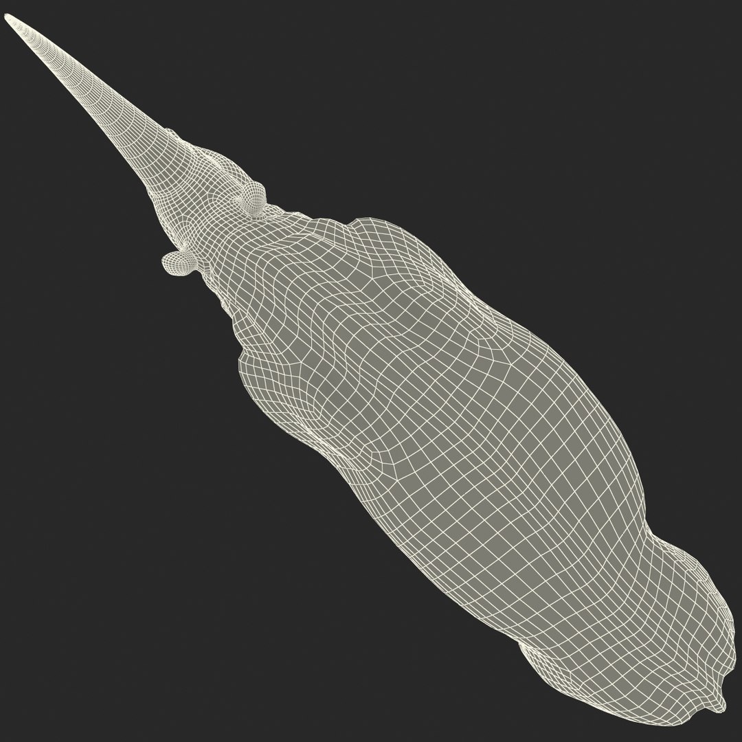 Elasmotherium 2 Pose 3d Model