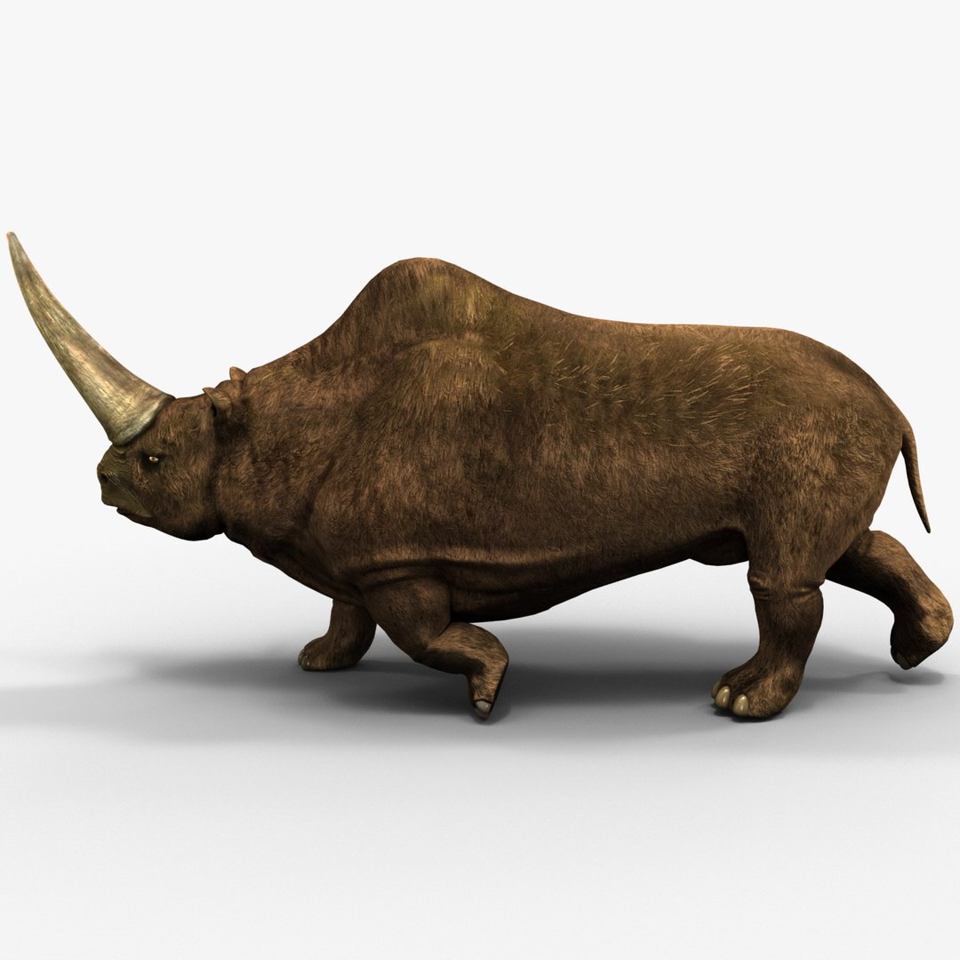 Elasmotherium 2 Pose 3d Model