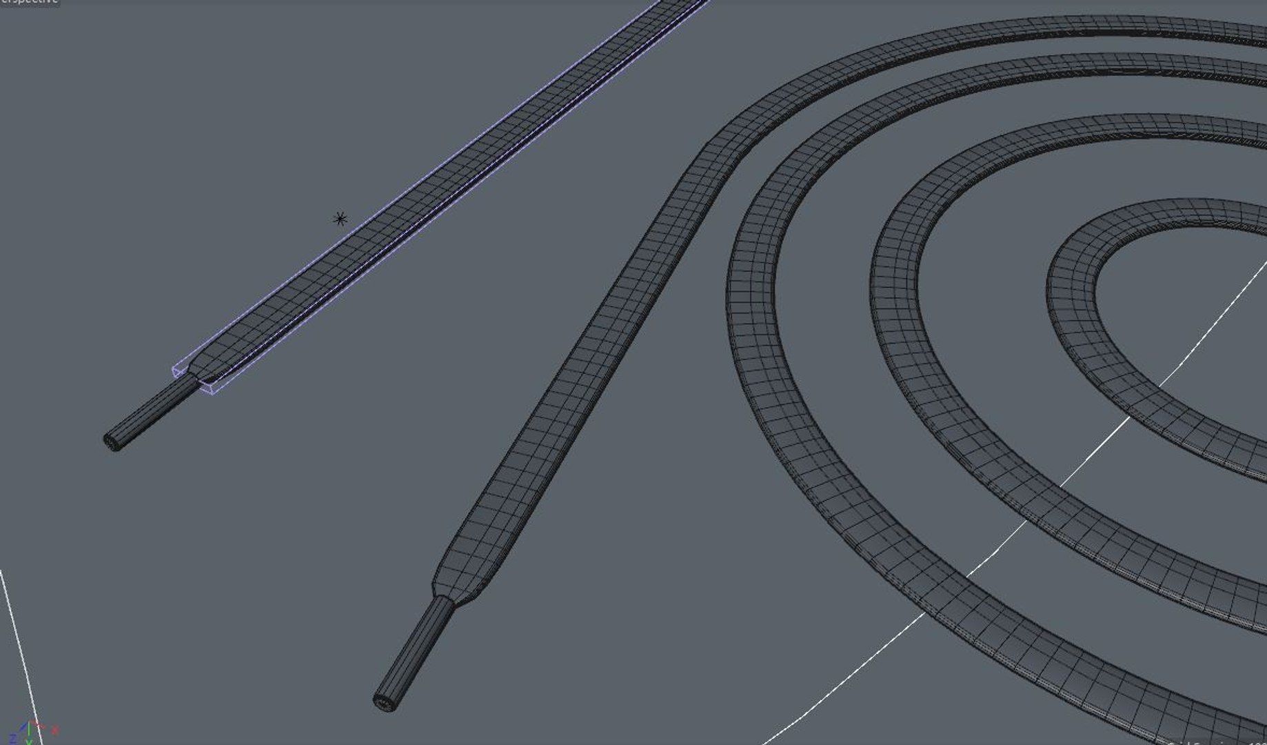 Lace Shoe Shoelace 3D Model - TurboSquid 1307823