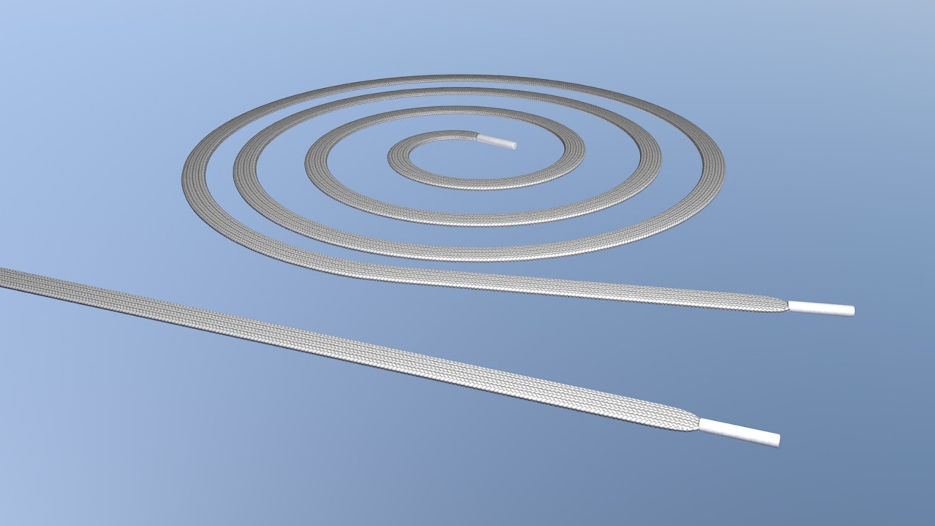 Lace Shoe Shoelace 3D Model - TurboSquid 1307823