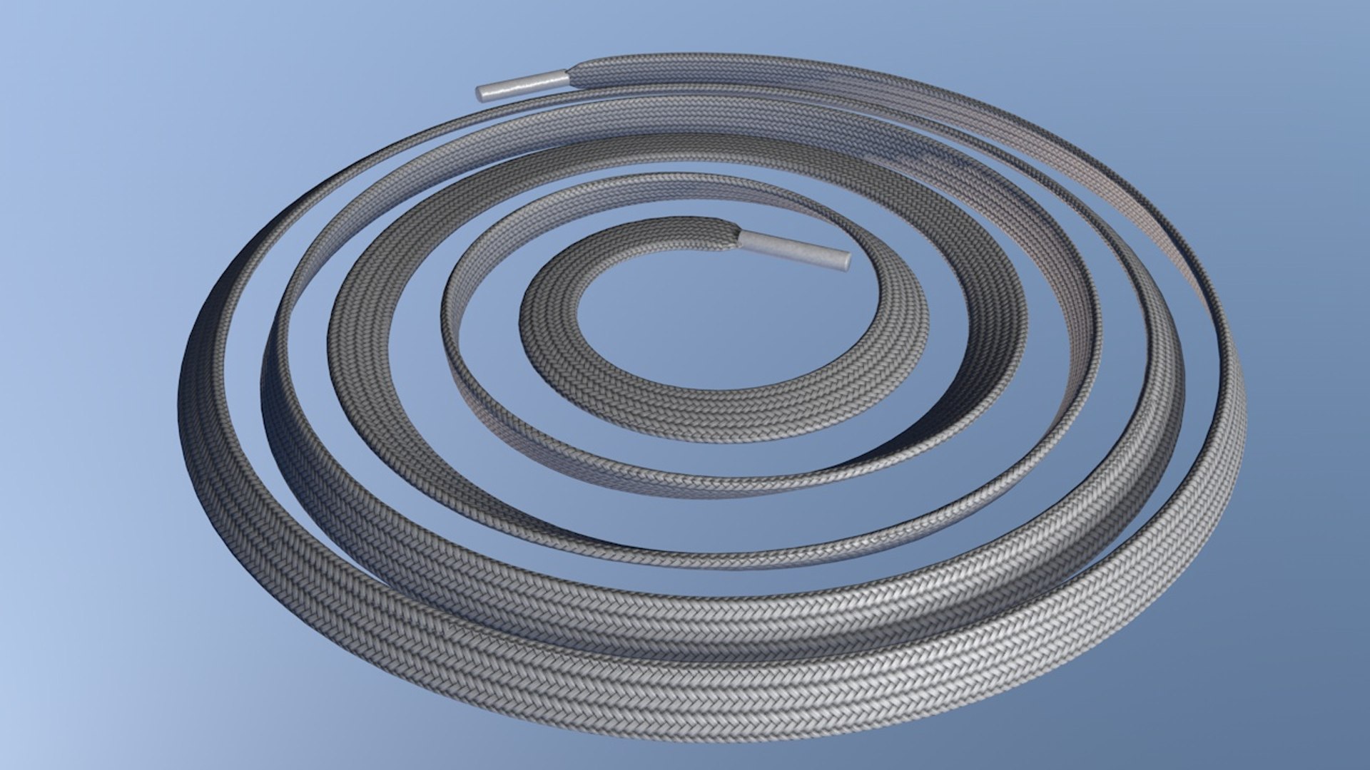 Lace Shoe Shoelace 3D Model - TurboSquid 1307823