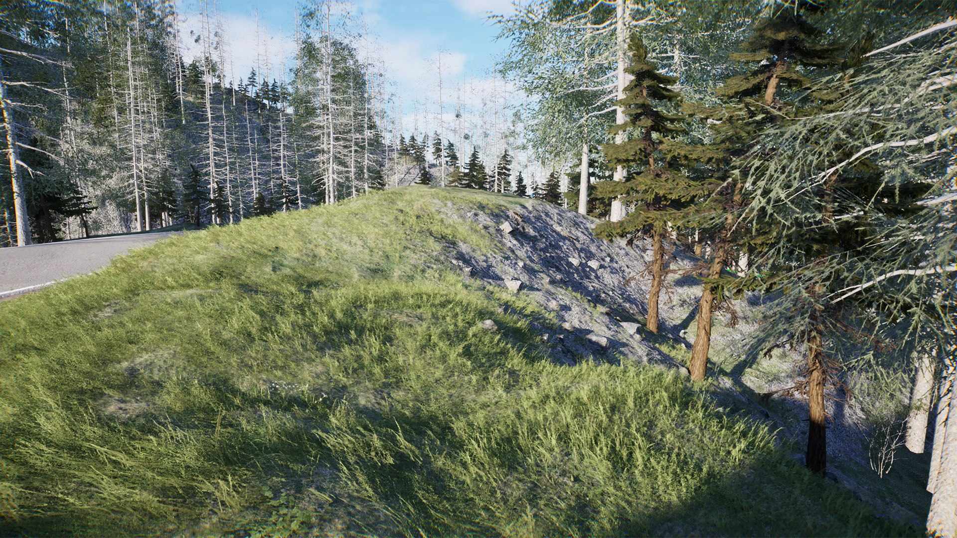 3D Epic Race Track Mountain Environment Asset - TurboSquid 2412911