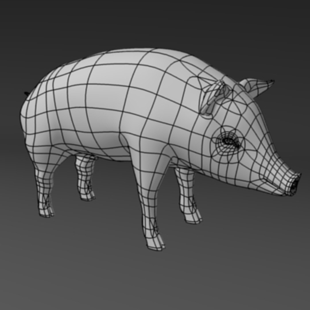male pig 3d model