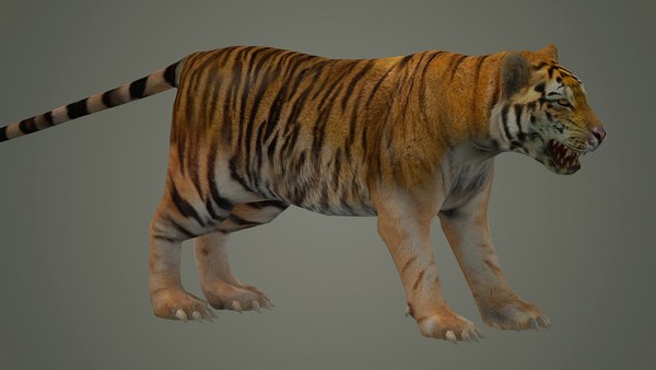 3D Zoo Models | TurboSquid