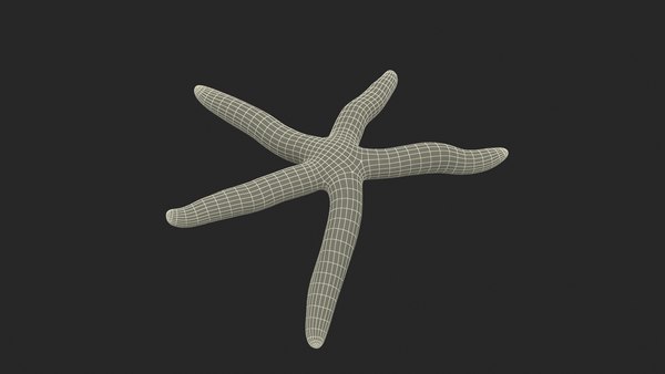 modelo 3d Estrella de mar azul acostada - TurboSquid 2223323