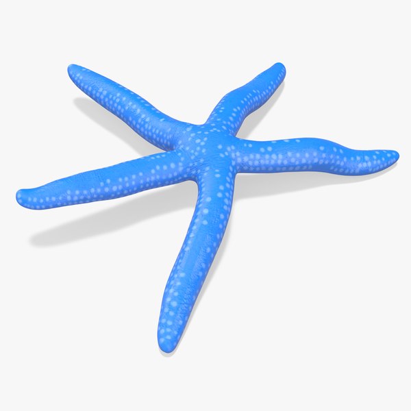 modelo 3d Estrella de mar azul acostada - TurboSquid 2223323