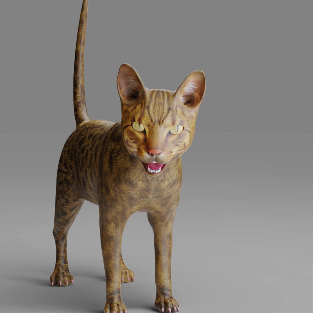 Cat Grey Rigged And Animated 3D Model - TurboSquid 1982851