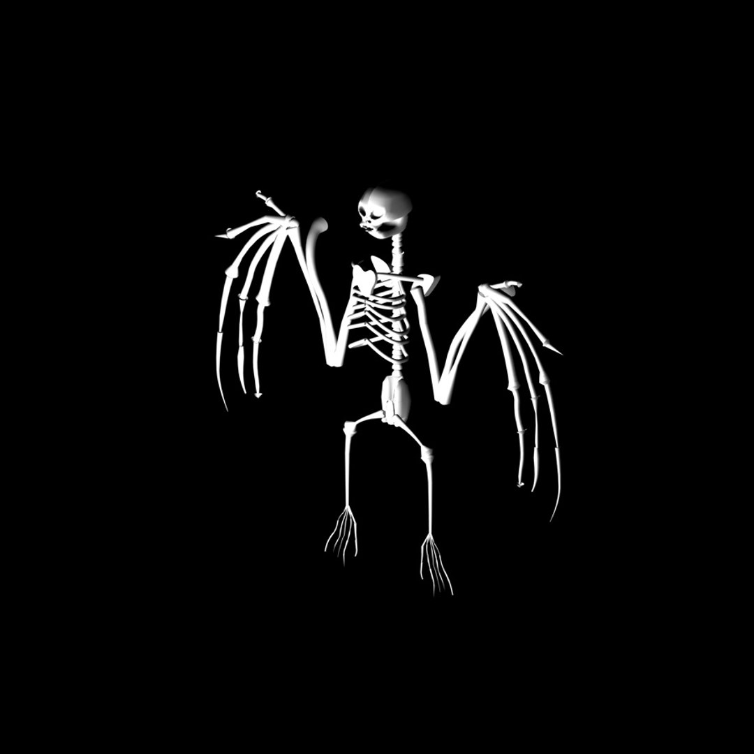 3d Bat Skeleton Model