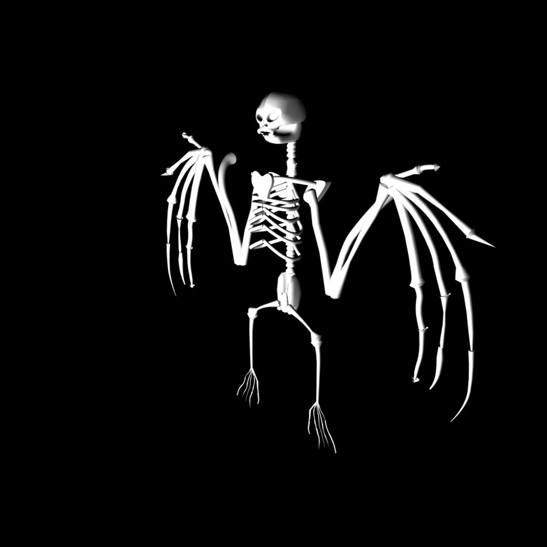 3d Bat Skeleton Model