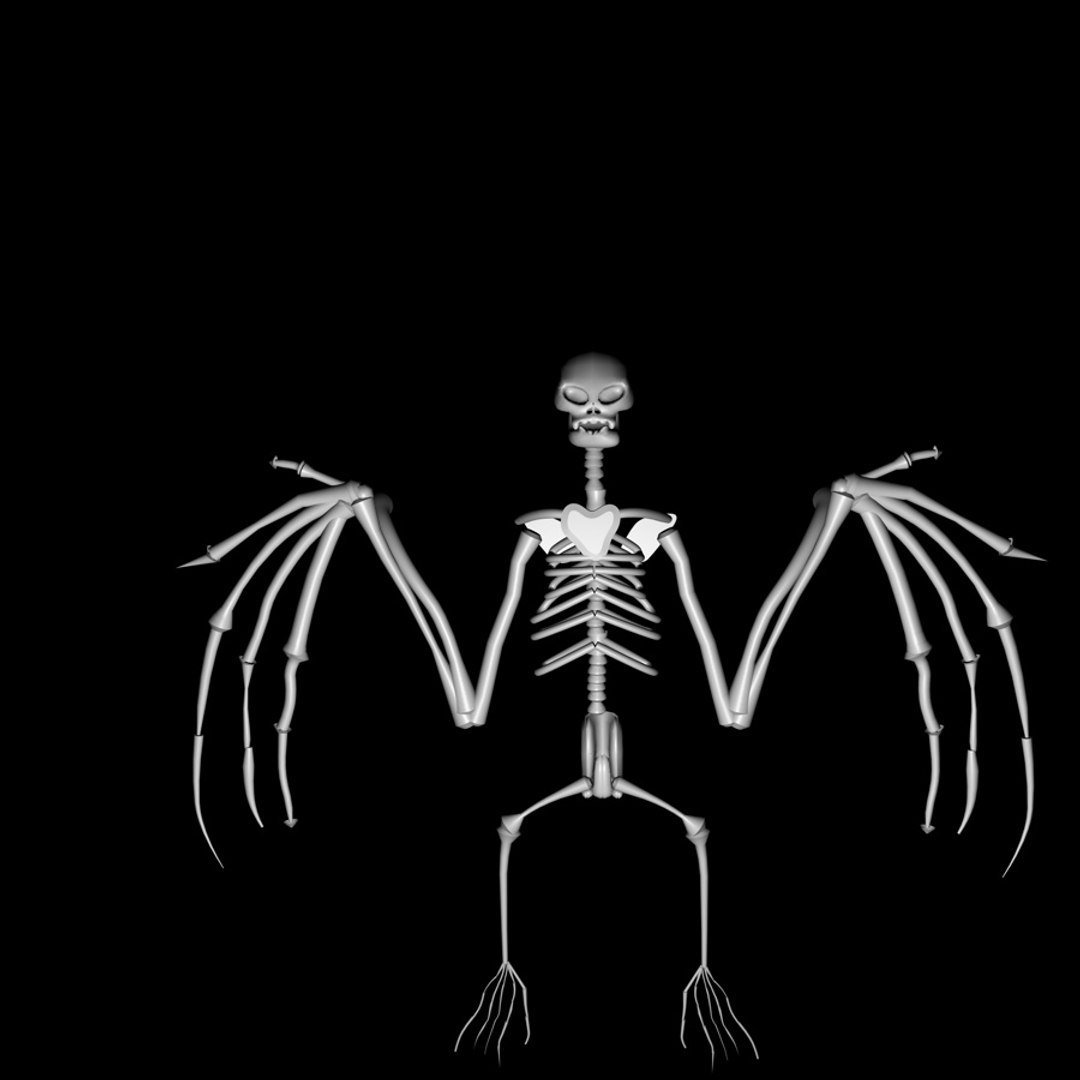3d Bat Skeleton Model