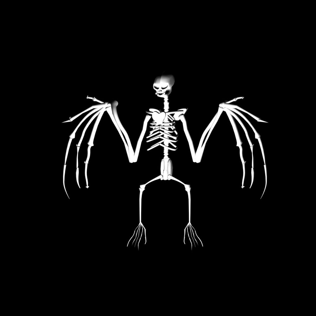 3d Bat Skeleton Model