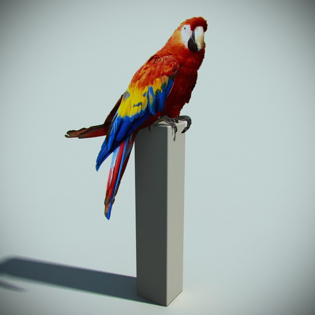3d Model Plane Parrot