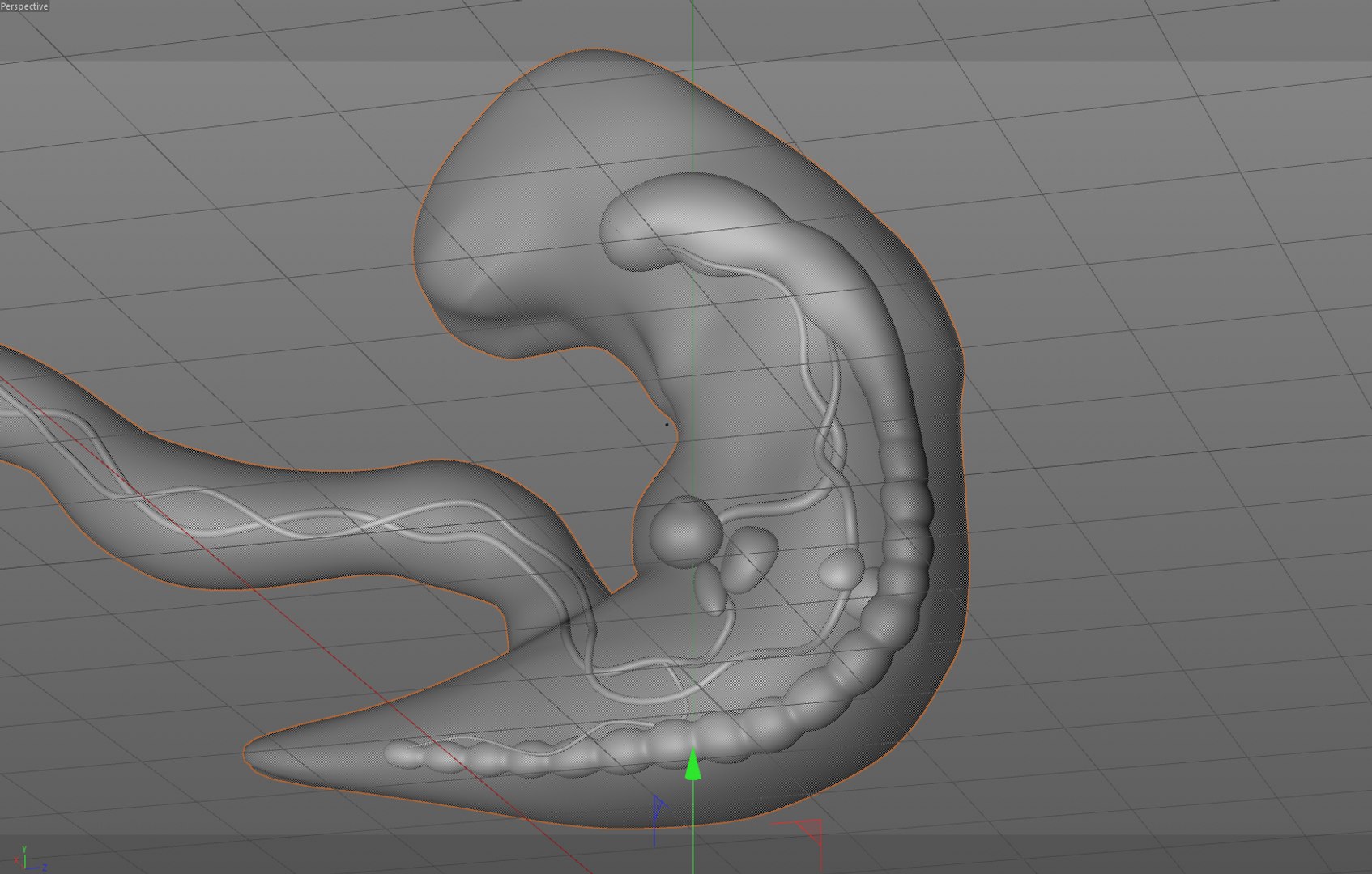 Human fetus internal organs 3D model - TurboSquid 1223174