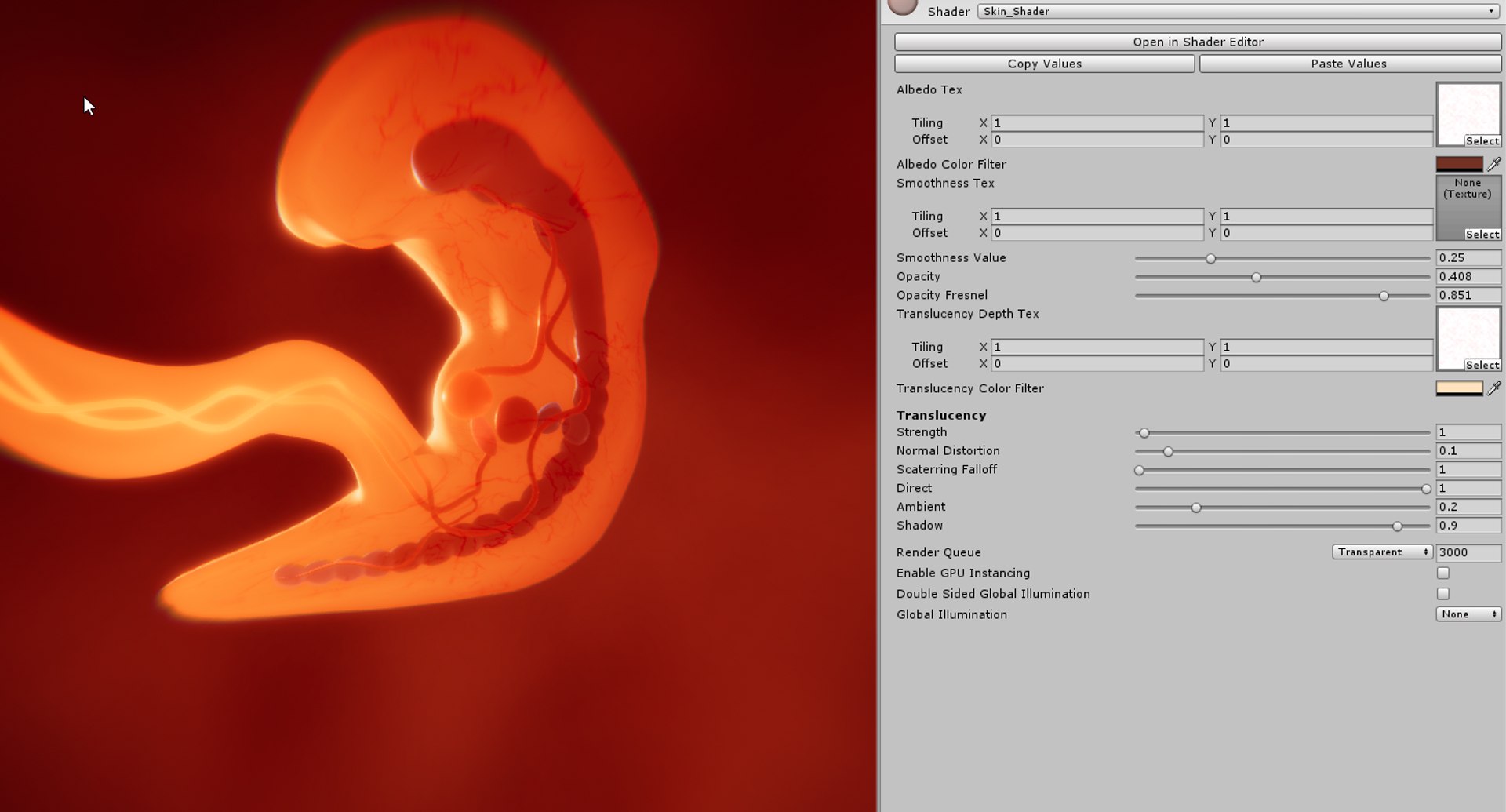 Human fetus internal organs 3D model - TurboSquid 1223174