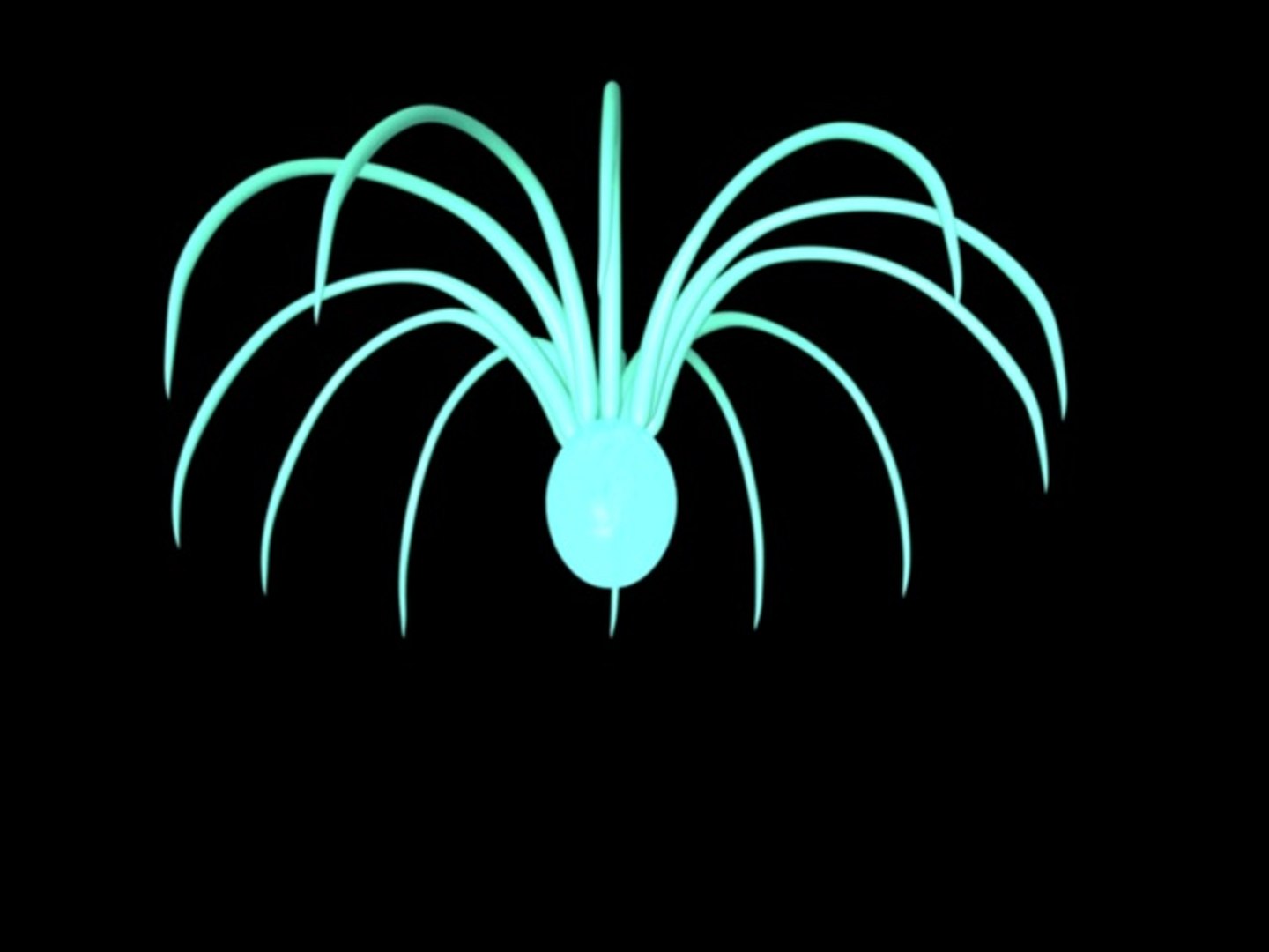 3d Creature Floating