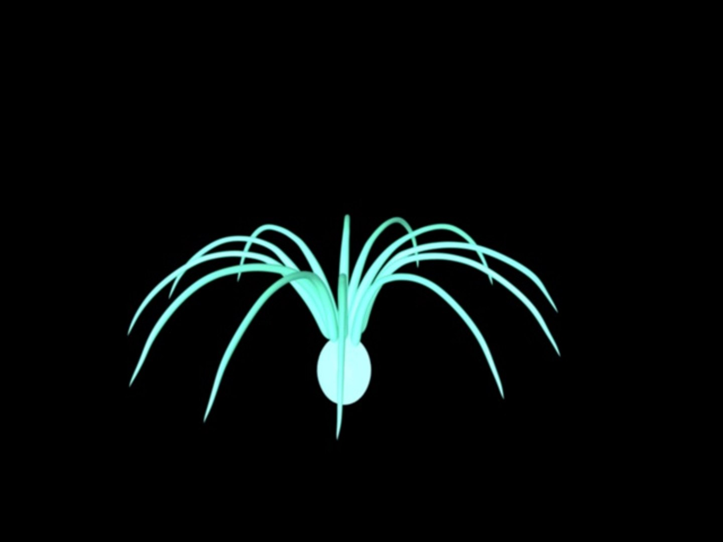 3d Creature Floating