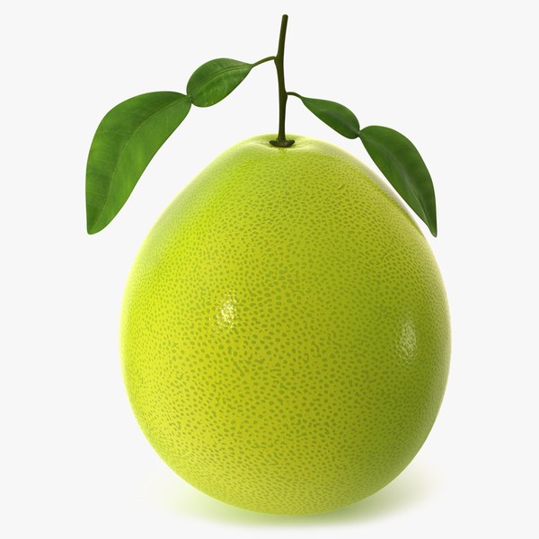 modelo 3d Green Pomelo Fruit - TurboSquid 1991539