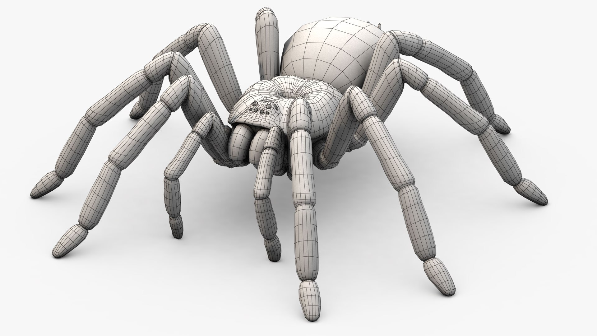 Yellow Tarantula 3D model - TurboSquid 1908644