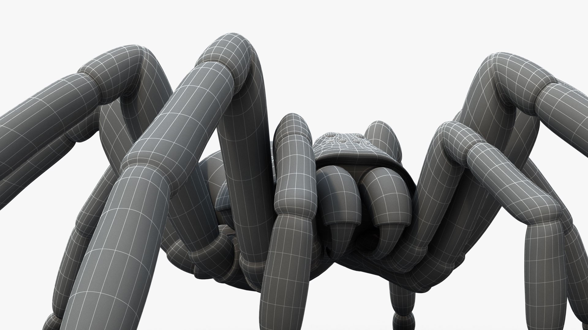 Yellow Tarantula 3D model - TurboSquid 1908644