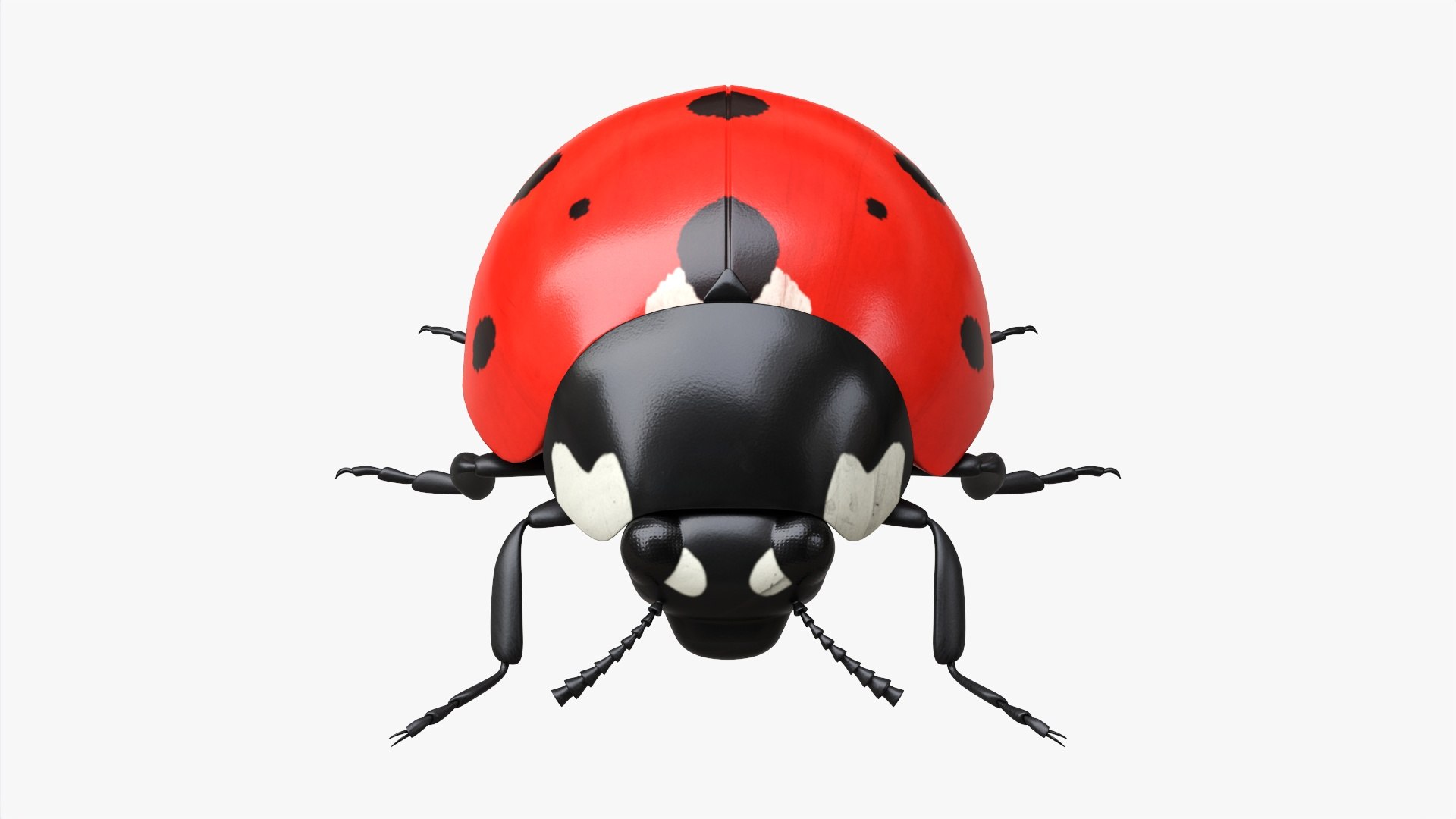 Ladybug 3D - TurboSquid 1841827