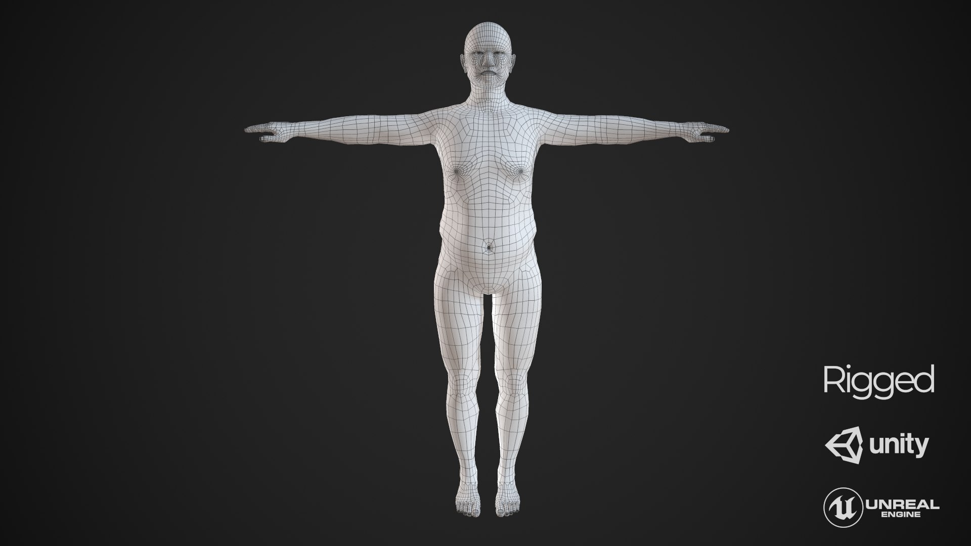 Base Mesh Basemesh 3D Model - TurboSquid 1680932