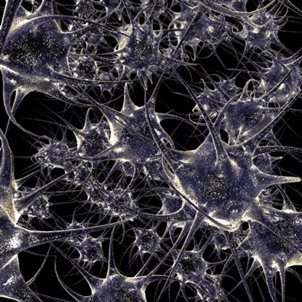 neural network 3d model