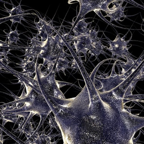 neural network 3d model