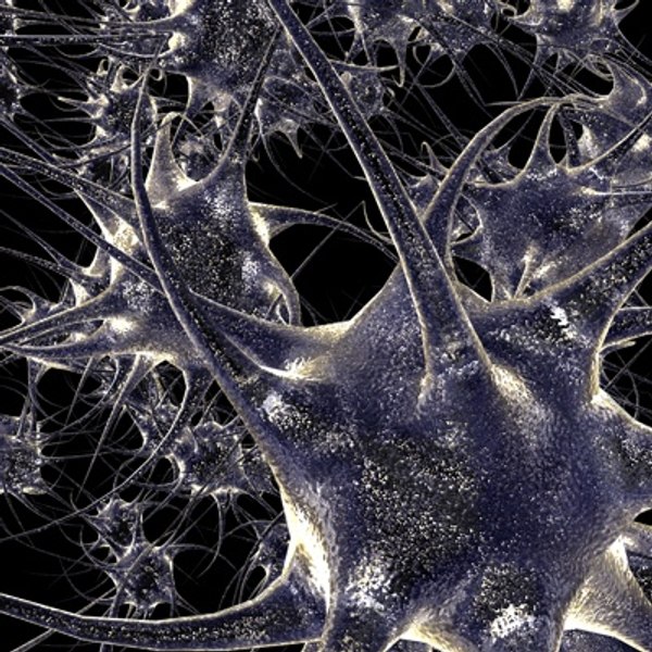 neural network 3d model